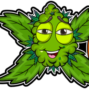 Cannabis Farms Explained: How They Work and What They Grow